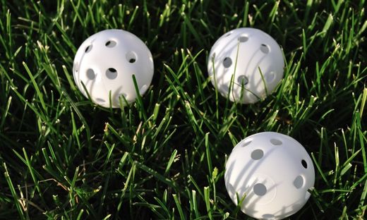 560+ Wiffle Ball Team Names to Up Your Game