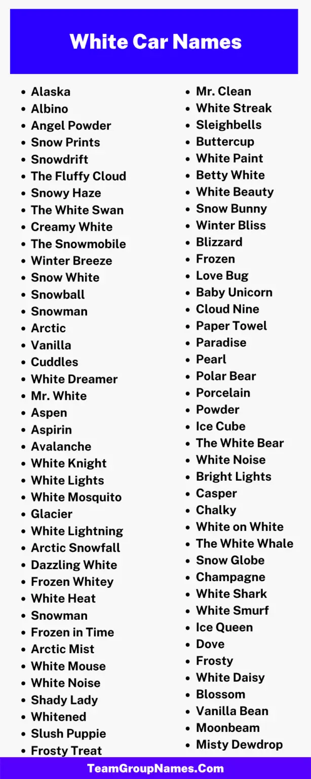 650+ White Car Names That Feel Just Right