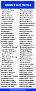 480+ CSGO Team Names for Competitive Play (Cool and Catchy)