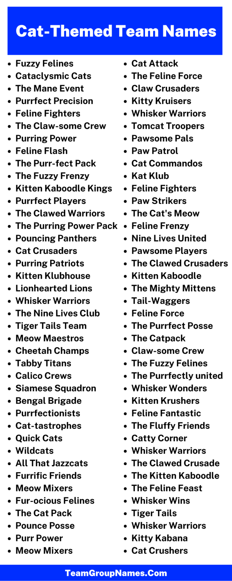 360+ Cat Team Names (Fierce, Funny, and Fabulous Feline Ideas)