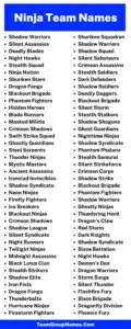 320+ Ninja Team Names For Your Clan