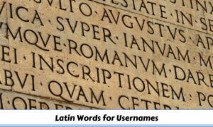 350+ Cool Latin Words for Usernames (With Meanings)