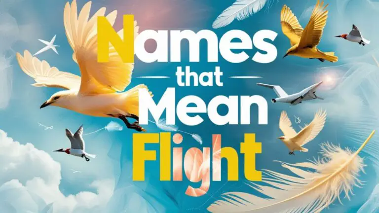 340+ Names That Mean Flight or Fly (With Meanings!)