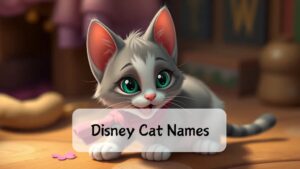 460+ Disney Cat Names for Your New Furry Friend