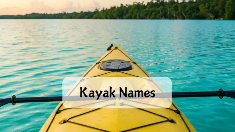 800+ Kayak Names (From Funny Puns to Adventurous Options)