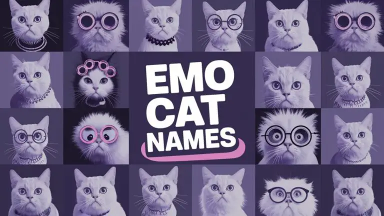 200+ Emo Cat Names (Dark & Mysterious Names for Your Gothic Feline)