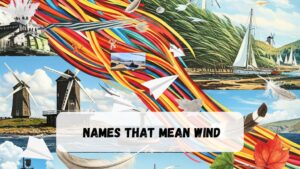 360+ Names That Mean Wind (Strong, Unique & Poetic Options)