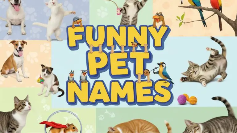 300+ Funny Pet Names (Witty, Silly, and Downright Hilarious Ideas)