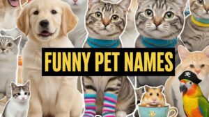 300+ Funny Pet Names (Hilarious Options That'll Make You Laugh Every Day)