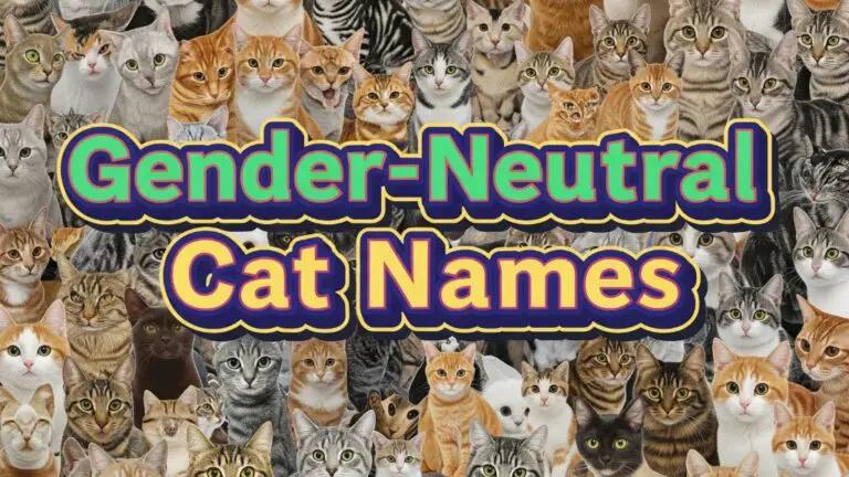 300+ Gender-Neutral Cat Names Every Cat Parent Should Know