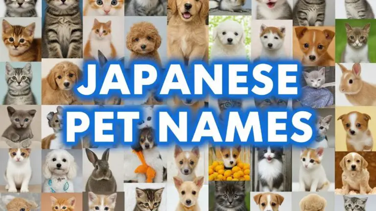 300+ Japanese Pet Names (Adorable & Meaningful Names)
