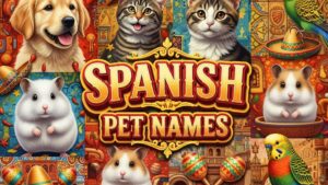 300+ Spanish Pet Names (Meaningful Options with Cultural Significance)