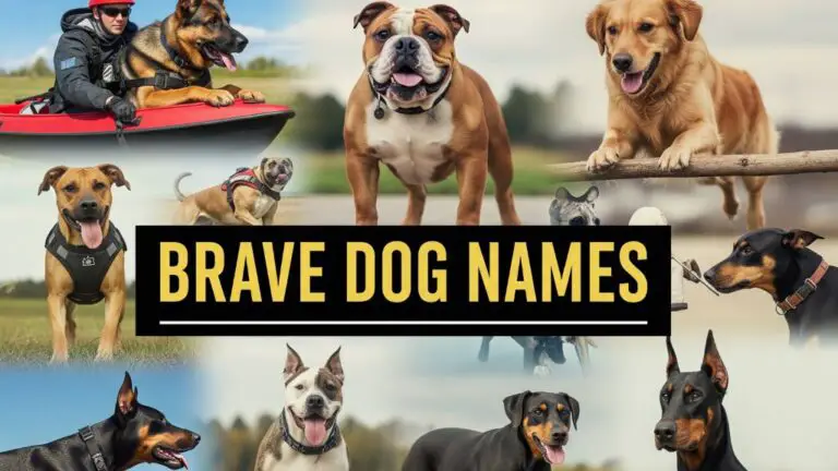 300+ Brave Dog Names (Heroic & Courageous Names)