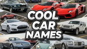 Cool Car Names for Every Personality - 300+ Perfect Options