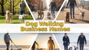 300+ Dog Walking Business Names (Fun, Professional & Punny Ideas)