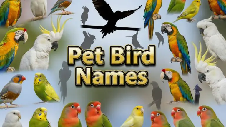 300+ Pet Bird Names (to Name Your Feathered Friend)