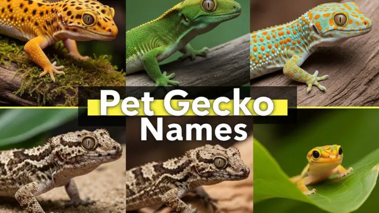300+ Pet Gecko Names (by Species and Personality)