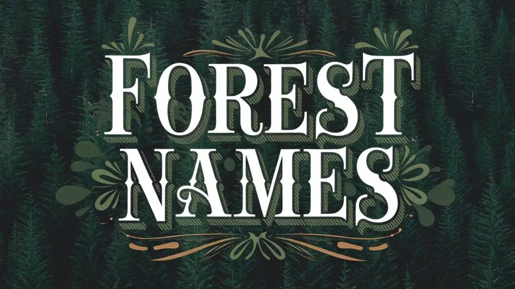 Forest Names (300+ Meaningful Choices)