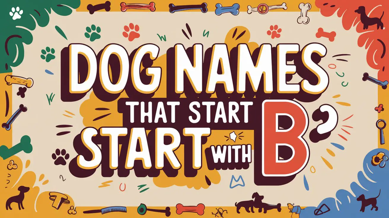Dog Names That Start With B (200+ Bold, Beautiful & Beloved Choices)